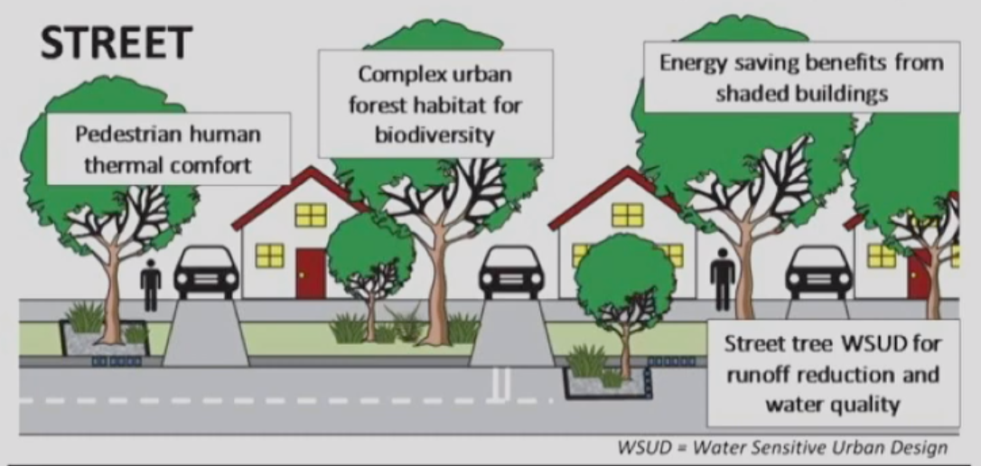 Seattle's Newest Council Member, Alex Pedersen, In Three Meetings ...