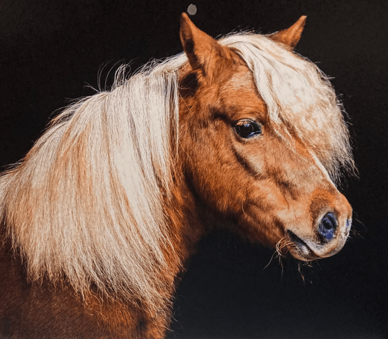 Seattle Budget Update: Rob Saka Has Questions - PubliCola