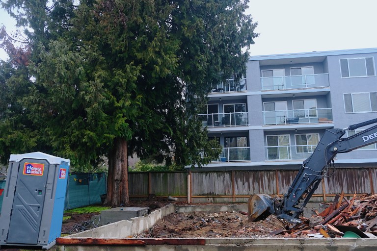 Activists Want to Save "Grandma Brooks' Cedar." Her Family Says They're ...